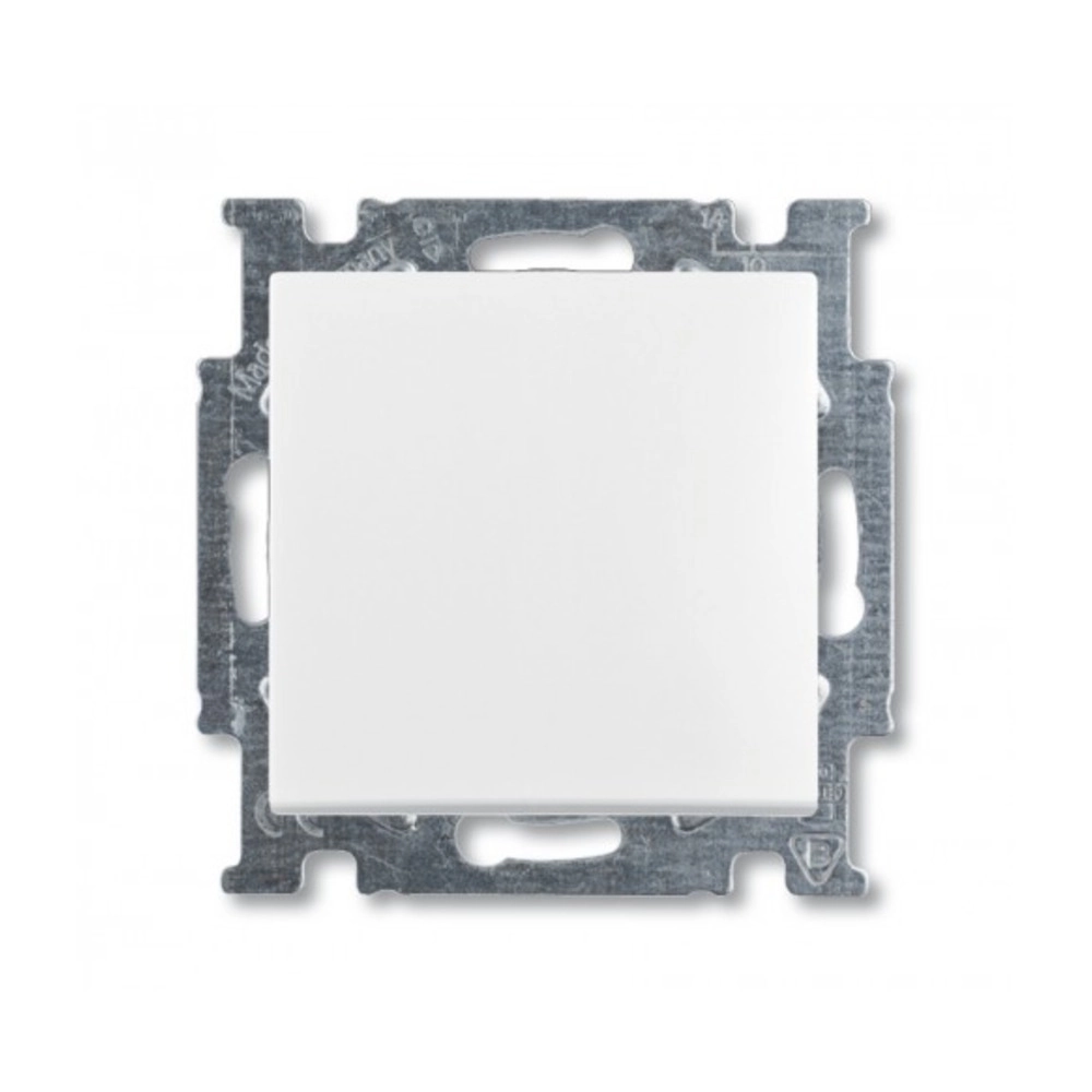 BASIC55 PAINIKE ALPINVALKOINEN